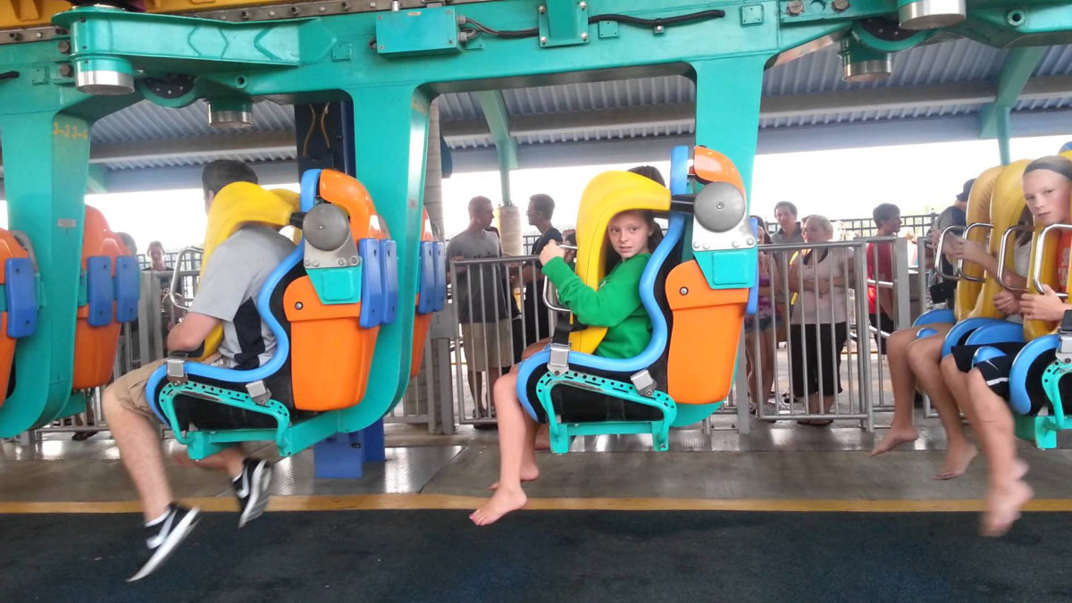 Steel Venom - Intamin Amusement Rides