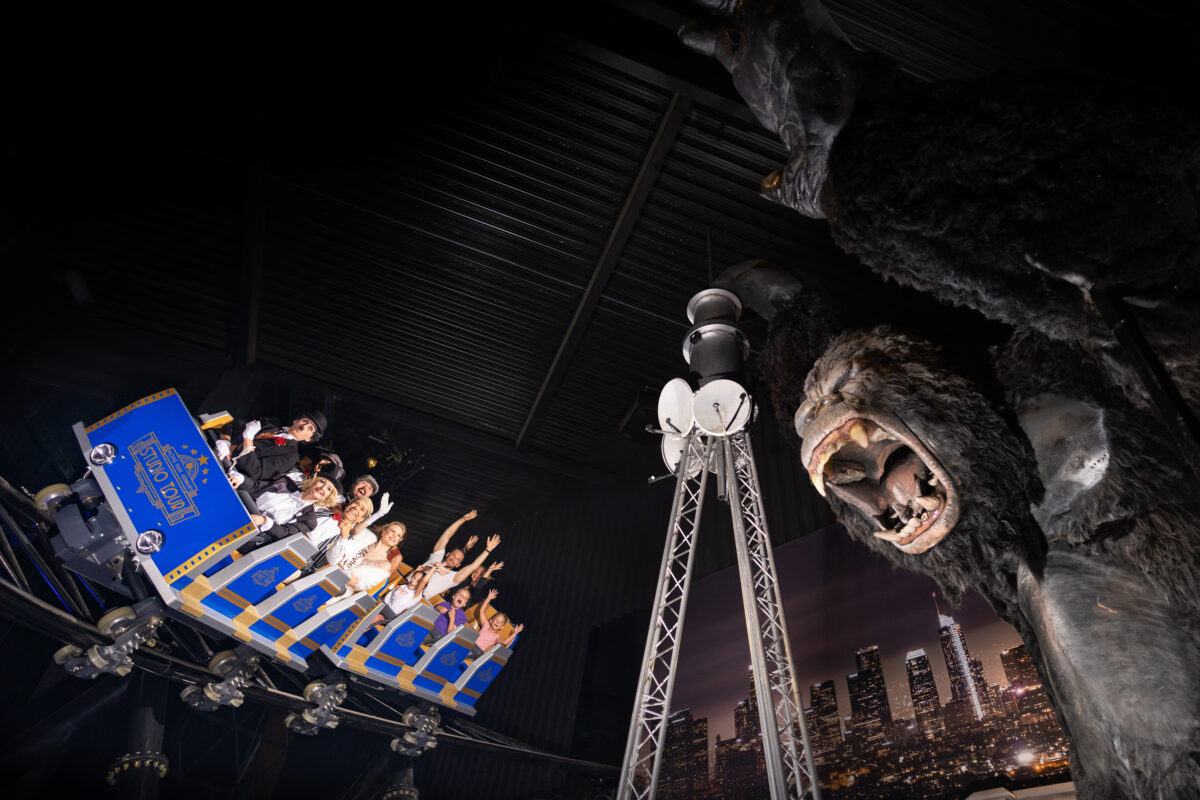 Multi Dimension Coaster - Intamin Amusement Rides